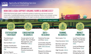 Case Study: Developing a Communications Strategy and Toolkit for the ...